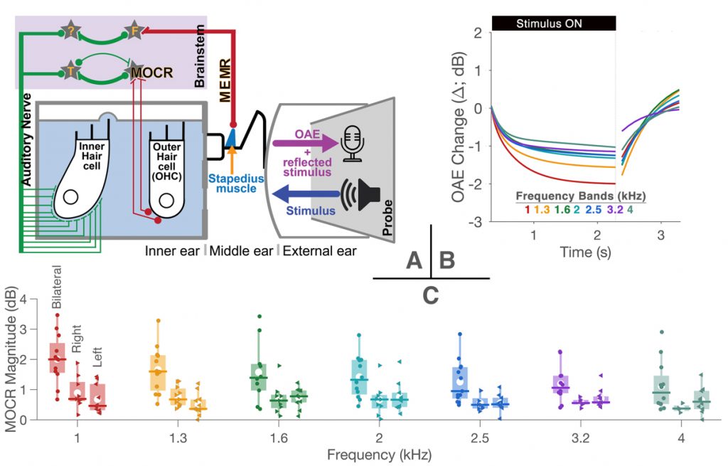 Sriram Boothalingam, PhD – Slide of the Week – Waisman Center – UW–Madison