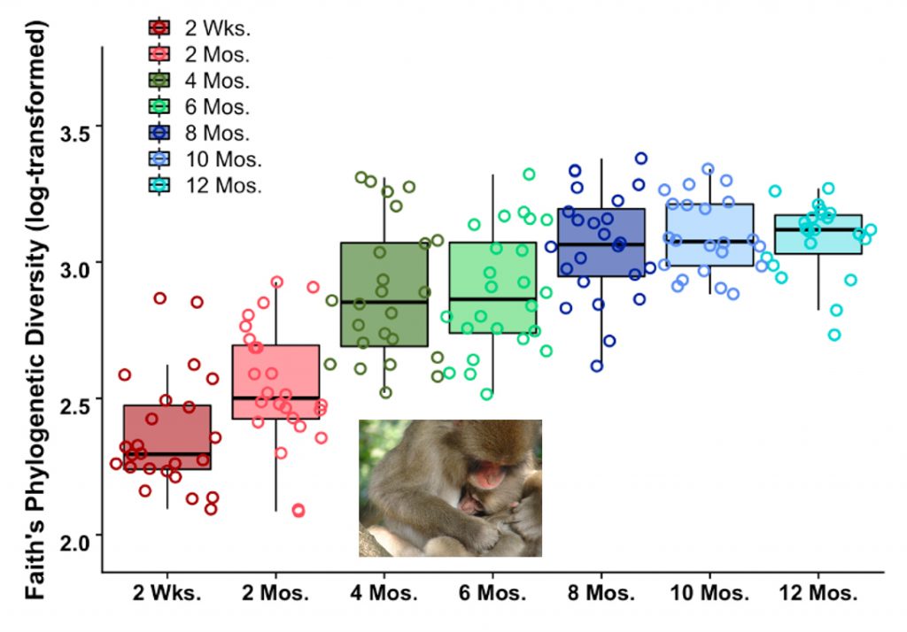 Christopher L. Coe, PhD – Slide of the Week – Waisman Center – UW–Madison