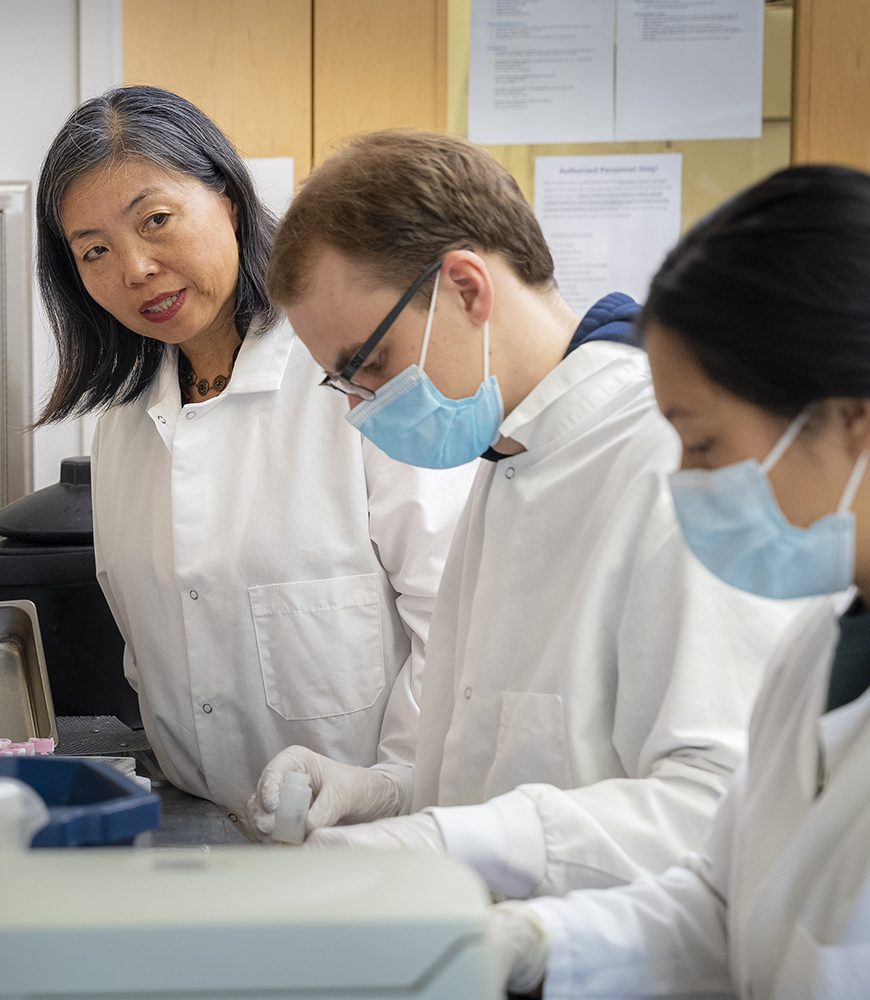 One mutation, many challenges: Unraveling the mystery behind fragile X ...
